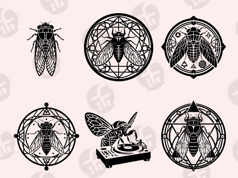 Cicada SVG Bundle: Insect Clipart, Laser Cut Files (digital Download ...