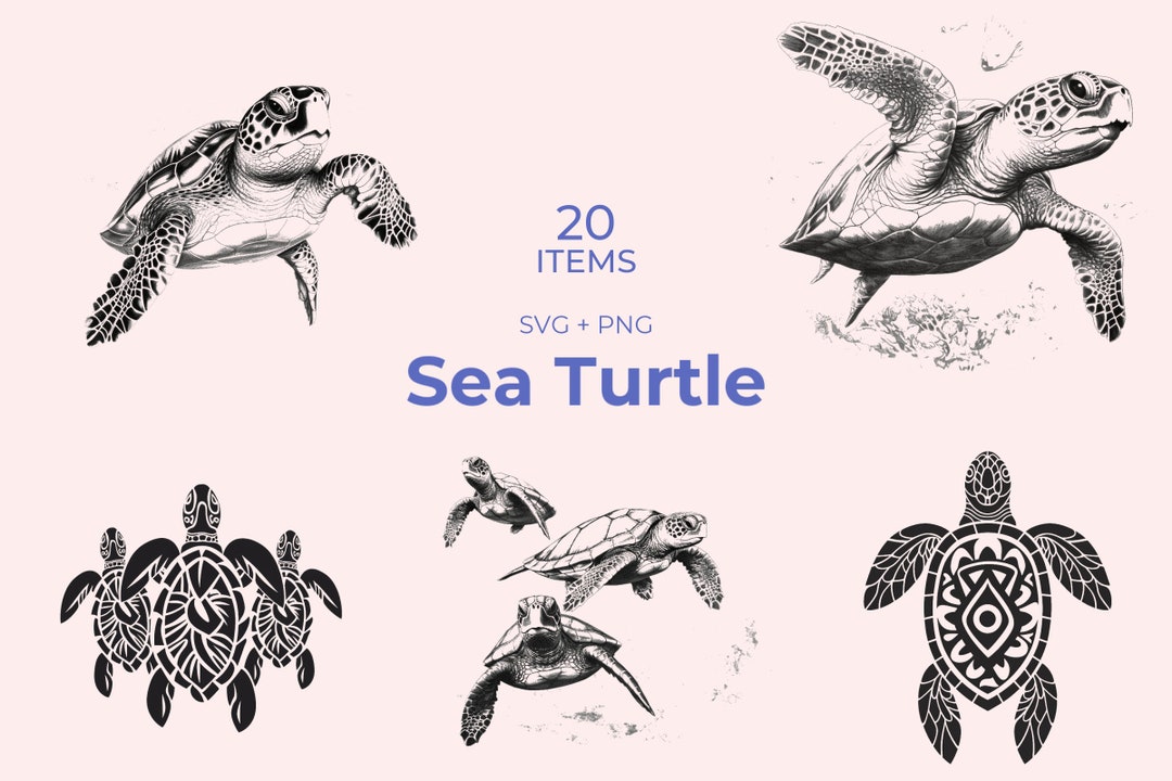 Sea Turtles SVG 20 Detailed Designs Black and White Art Ocean Theme ...