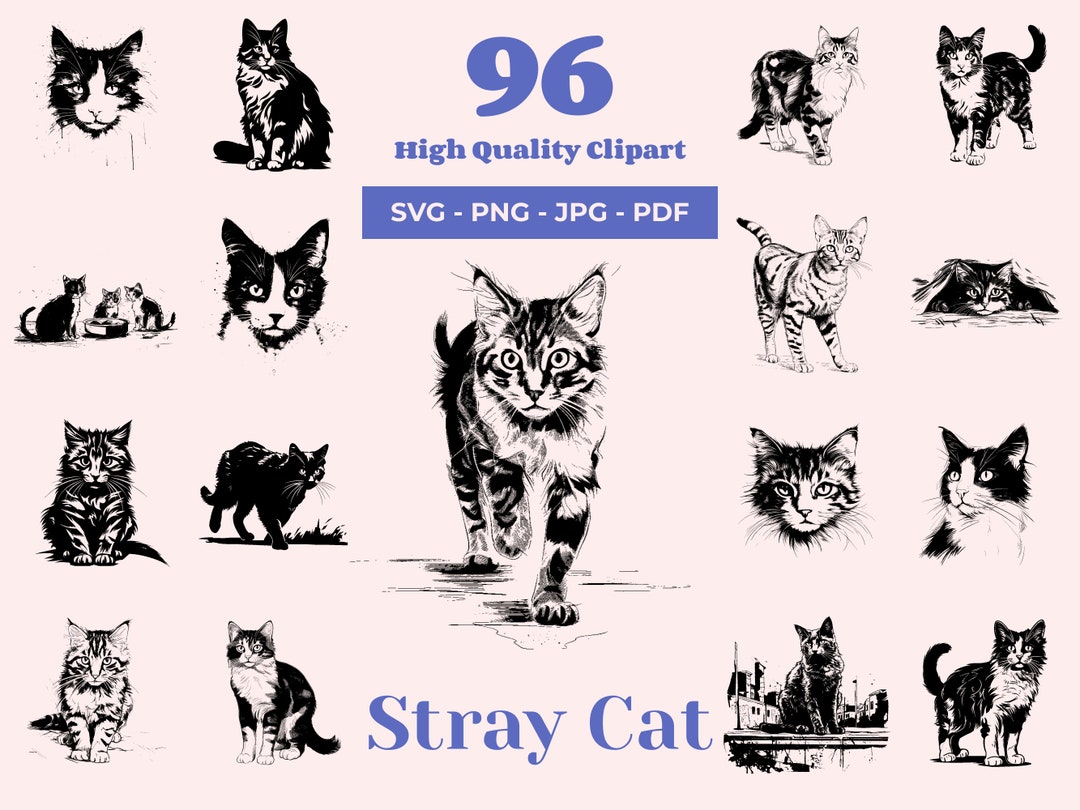 Stray Cat SVG Bundle: 96 Feral Cat Art Designs (digital Download) - Etsy