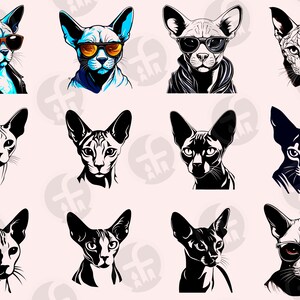 Sphynx Cat SVG Bundle 96 Unique Cut Files Hairless Beauty - Etsy
