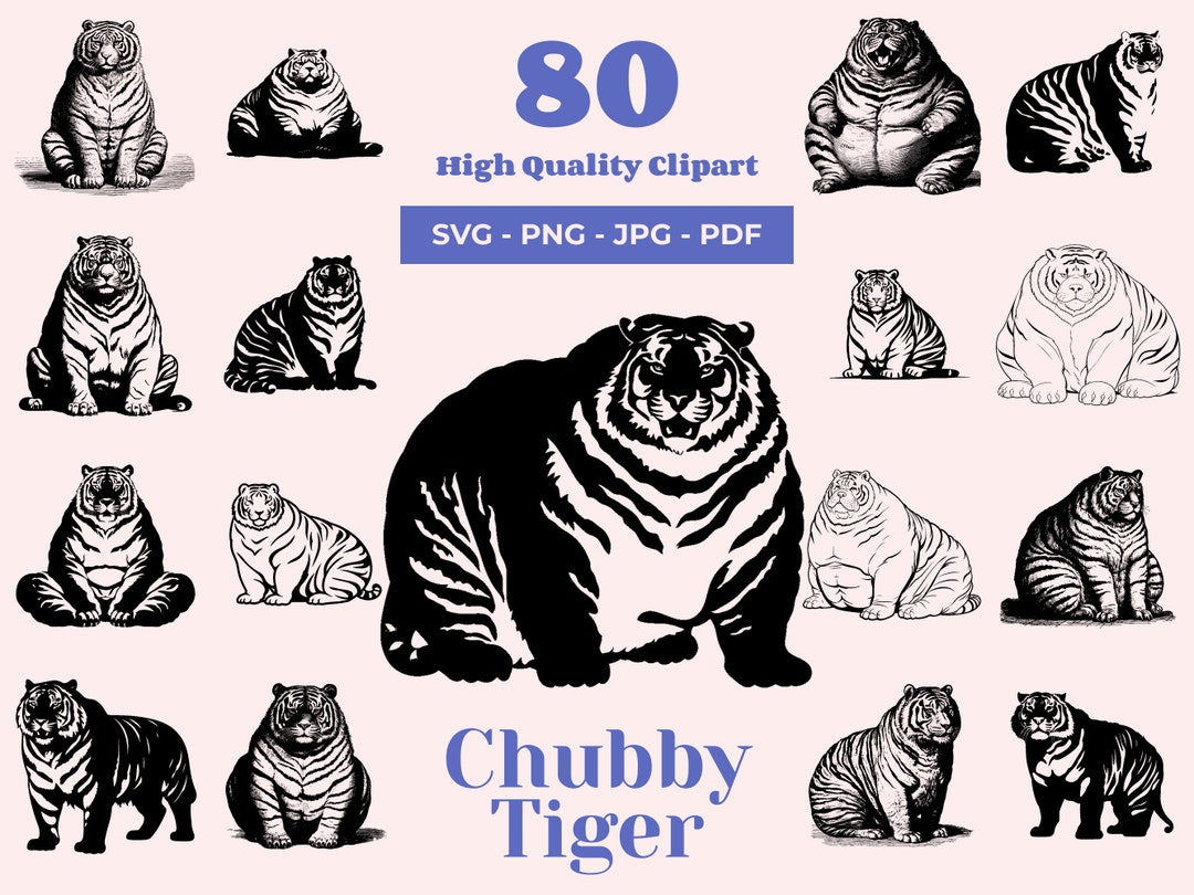 Fat Tiger SVG Bundle: 80 Jungle Clipart Designs (digital Download ...