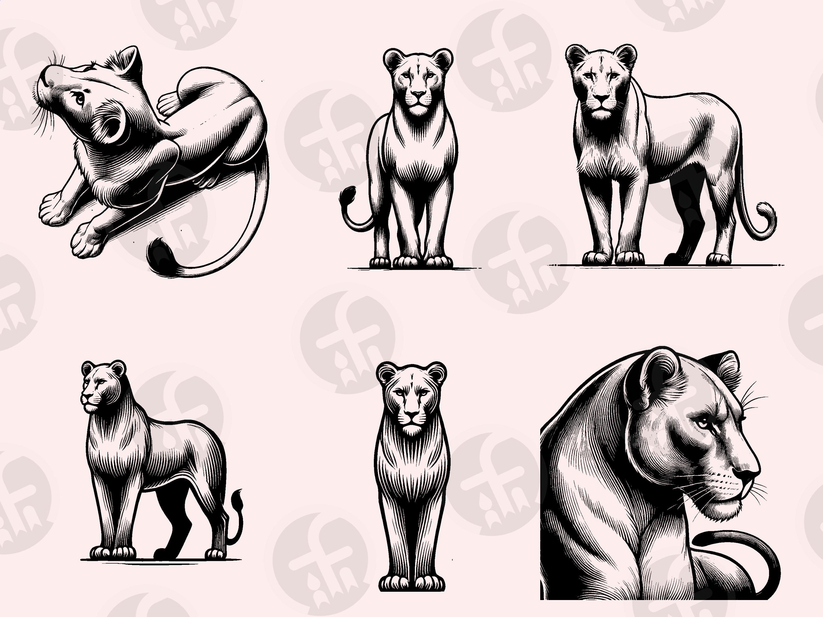 Lioness SVG Clipart Bundle: African Wildlife Designs (54 Files) - Etsy