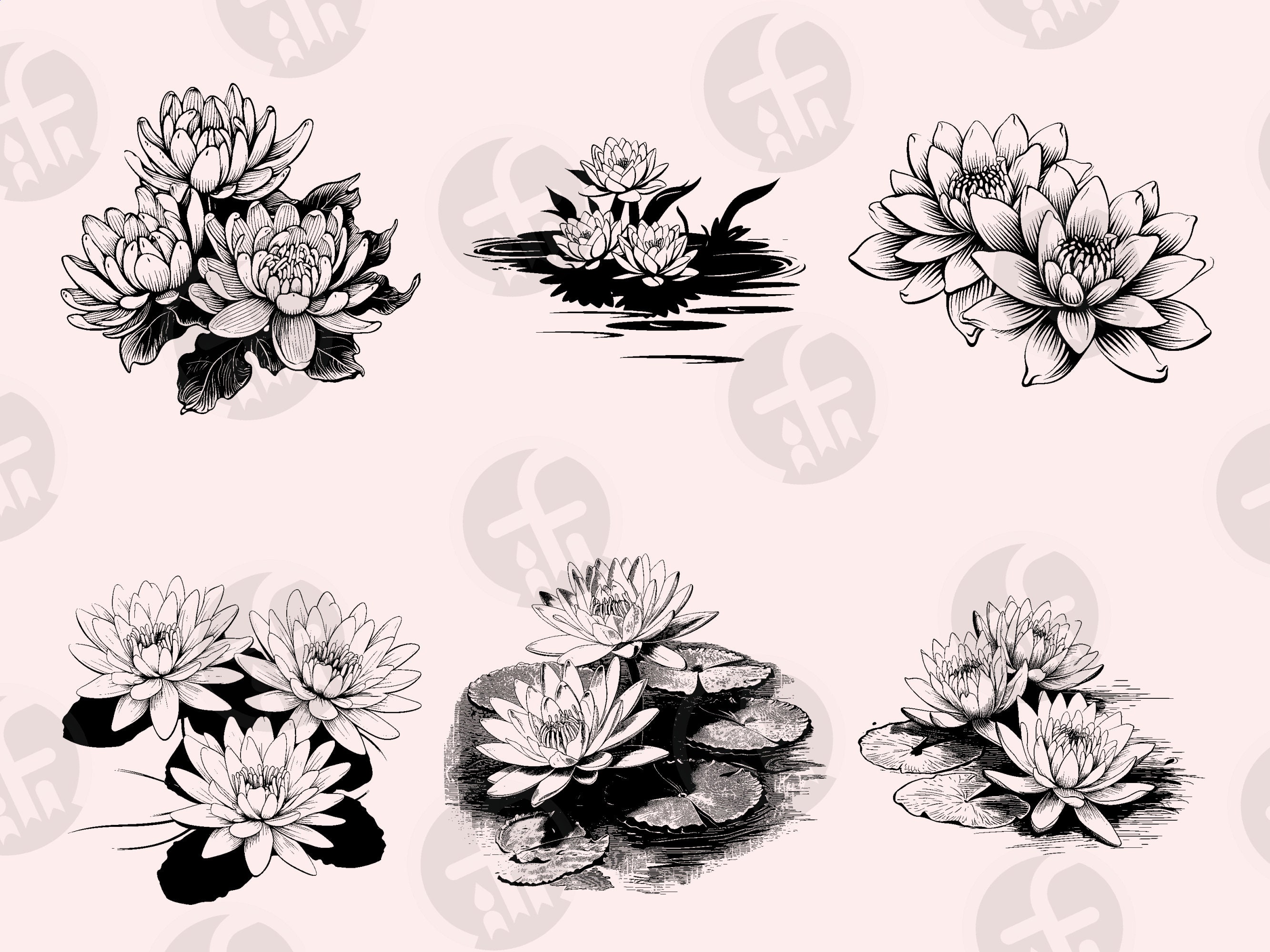 Water Lily SVG Bundle - 36 Vintage Engravings - Cut Files - Aquatic ...