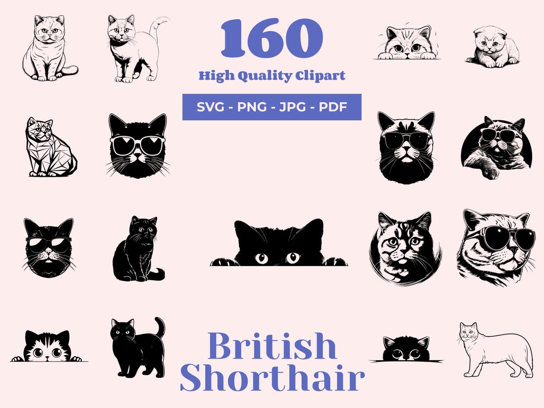 British Shorthair Cat SVG Bundle: 160 Clipart Designs (laser/cricut) - Etsy