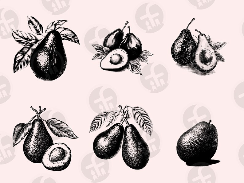 Avocado SVG Clipart Bundle: 28 Black and White Designs (digital ...