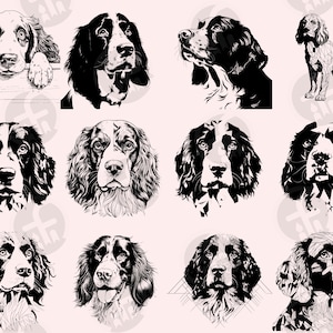 English Springer Spaniel SVG Bundle - 96 Designs - Spaniel Clipart ...