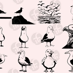 Seagull SVG Bundle 96 Cut Files Beach Bird Clipart Seagull Prints ...