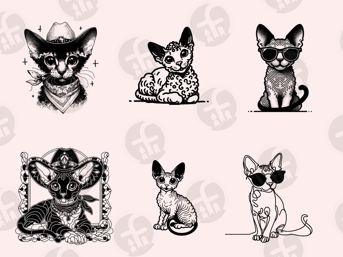 Cornish Rex Cat SVG Bundle: Quirky Feline Clipart (54 Designs) - Etsy