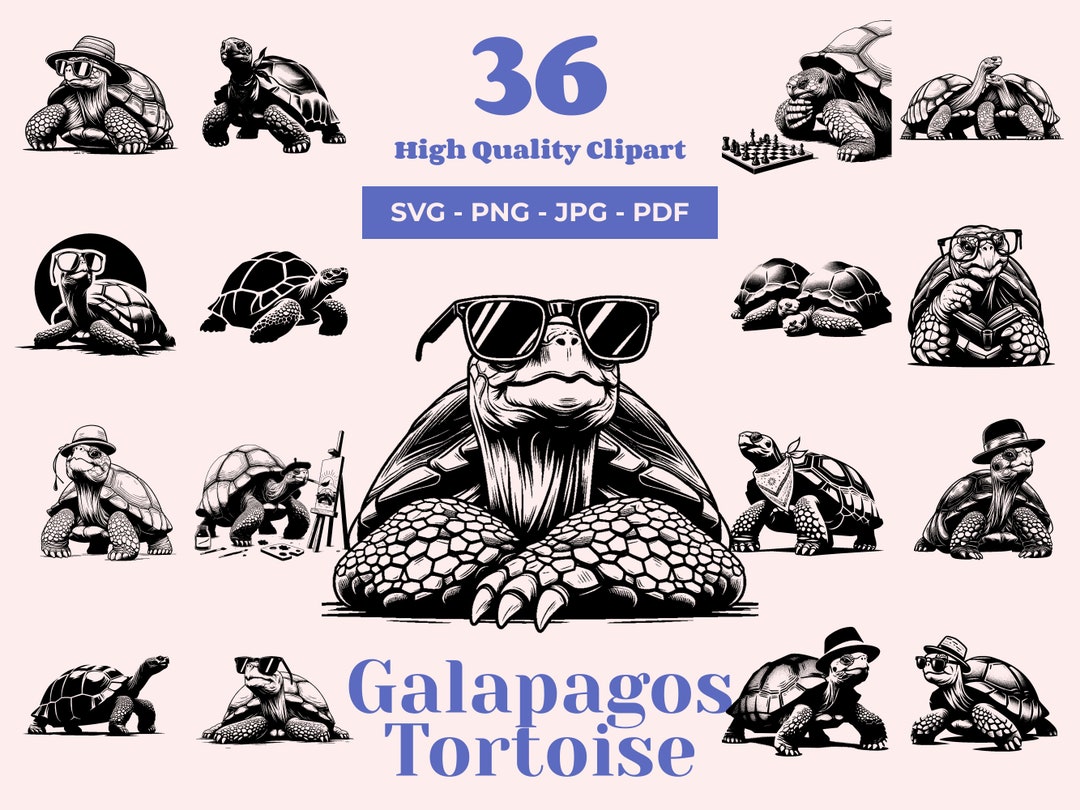 Galapagos Tortoise SVG Bundle - 36 Designs - Tortoise Silhouette ...