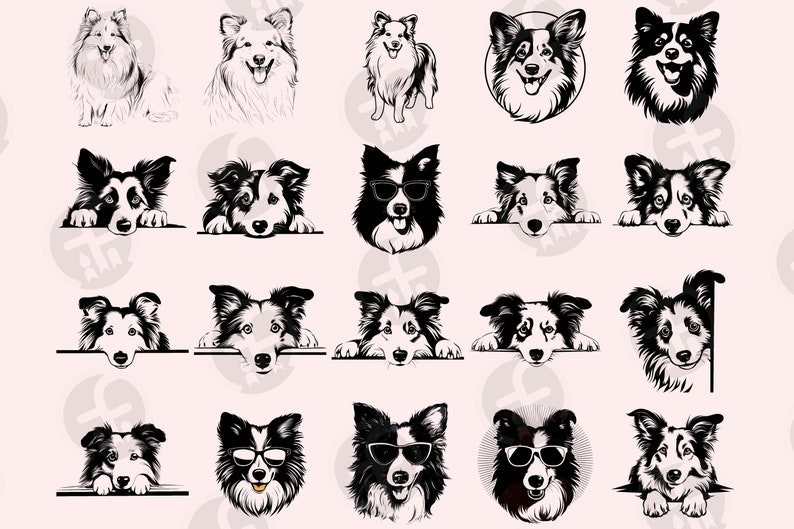 Shetland Sheepdog SVG Bundle 167 Cut Files Sheltie - Etsy