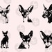 Cornish Rex Cat SVG Bundle: Quirky Feline Clipart (54 Designs) - Etsy