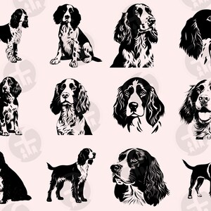 English Springer Spaniel SVG Bundle - 96 Designs - Spaniel Clipart ...