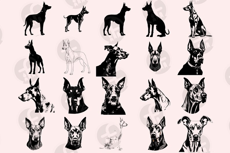 Doberman SVG Bundle - 159 Cut Files - Dobie Art - DIY Craft Projects ...