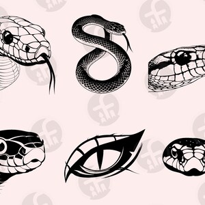 Snake Eye SVG Bundle 36 Designs Reptile Gaze Serpent Clipart Danger and ...