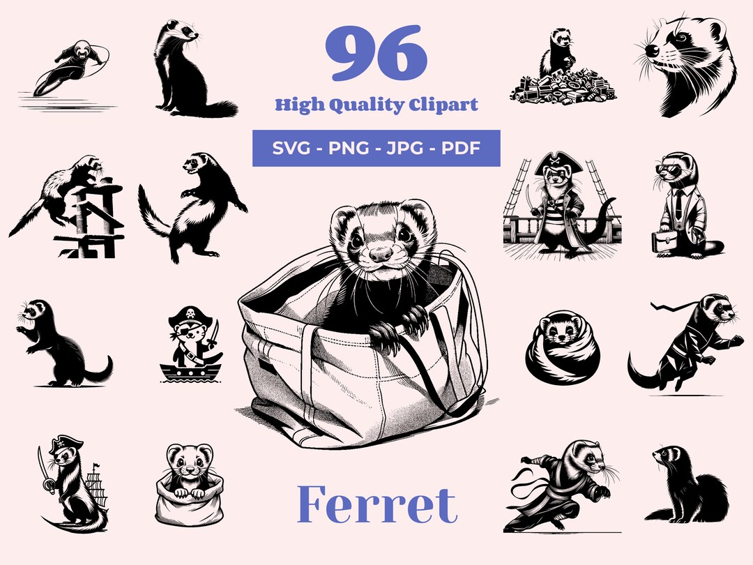 Ferret SVG Clipart Bundle: 96 Playful Pet Cut Files (digital Download ...