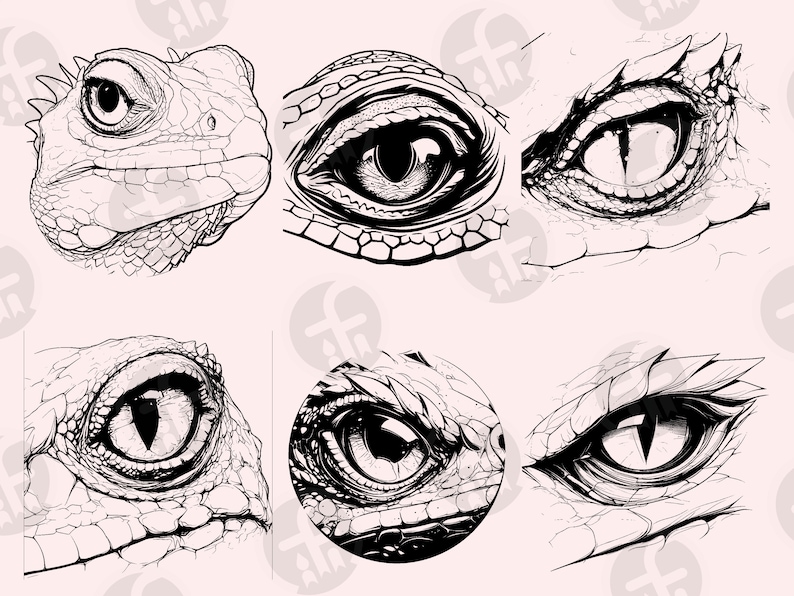 Lizard Eye SVG Clipart Bundle: Reptilian Gaze Designs (digital Download ...