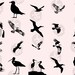 Ocean Birds SVG Bundle 180 Cut Files Coastal Bird Clipart Marine Avian ...