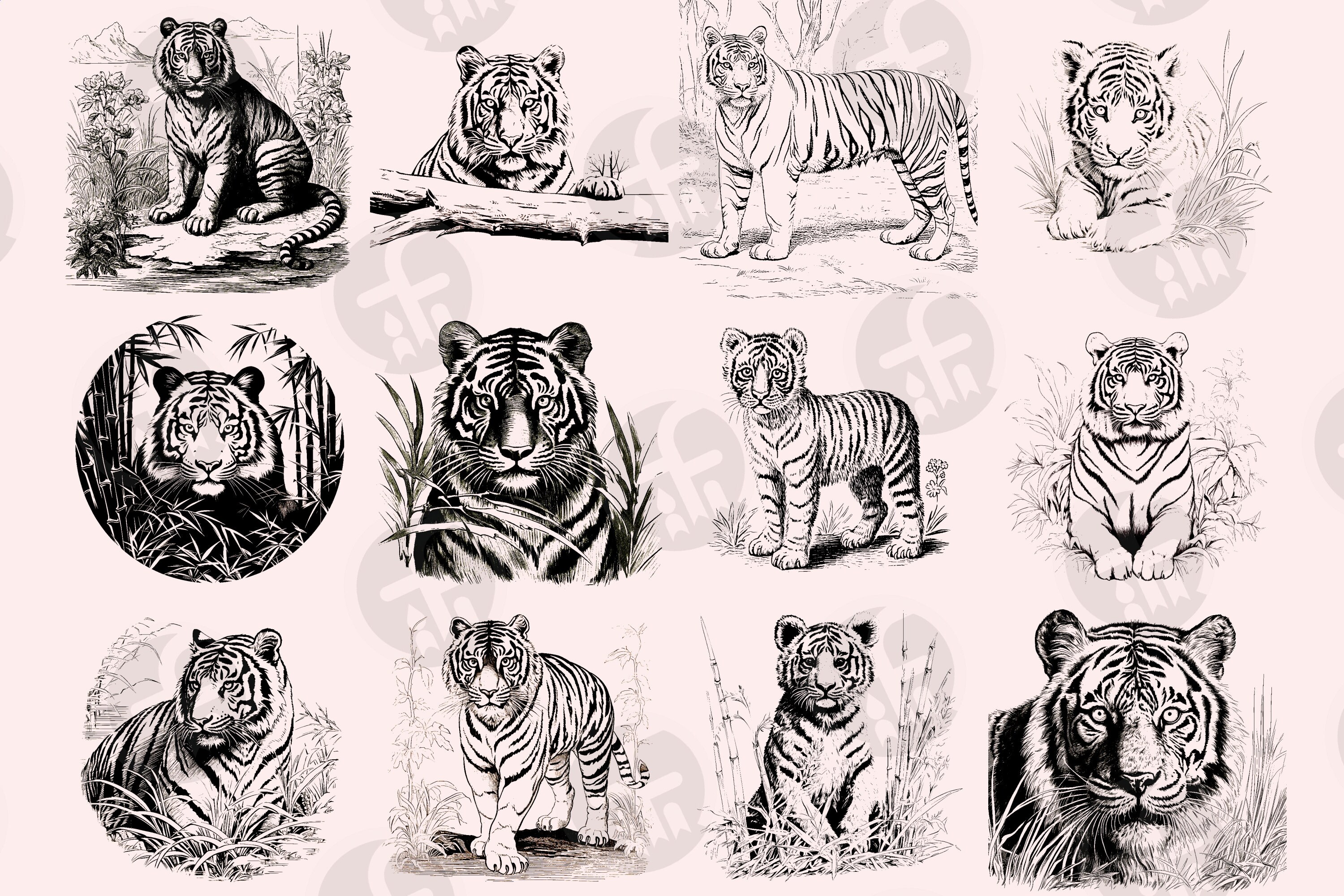 Tiger and Bamboo SVG Bundle 72 Vintage Engravings Cut - Etsy
