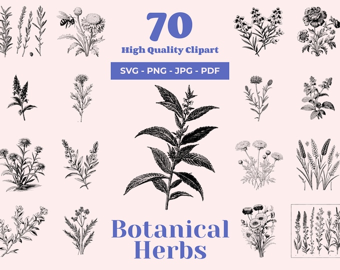 Botanical Herbs SVG Bundle: 70 Vintage Floral Clipart Designs (digital ...