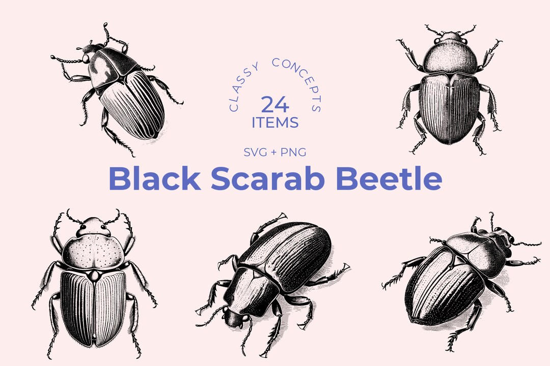 Black Scarab Beetle SVG Bundle 24 Vintage Engravings Cut Files Digital ...