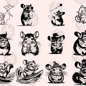 Chinchilla SVG Bundle - 72 Cut Files - Pet Designs for Laser Cutting ...