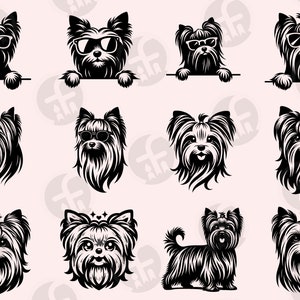 Silky Terrier SVG Bundle 84 Cut Files Elegant Small Dog Art Sublimation ...