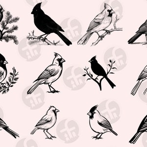 Cardinal SVG Bundle - 96 Cut Files - Black and White - Memorial Svg ...