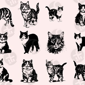 Stray Cat SVG Bundle: 96 Feral Cat Art Designs (digital Download) - Etsy