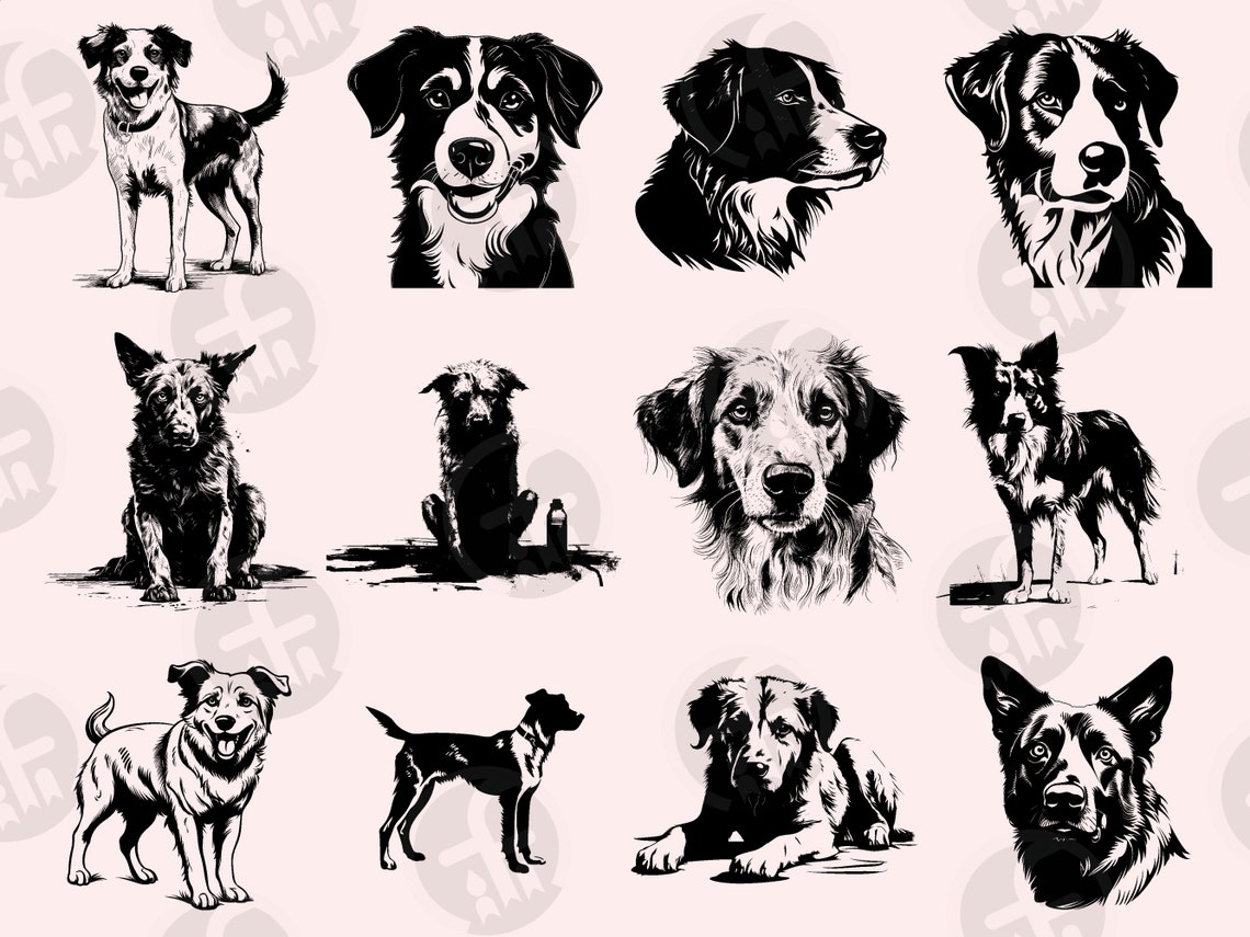 Stray Dog SVG Bundle: 96 Mutt Illustrations (digital Download) - Etsy