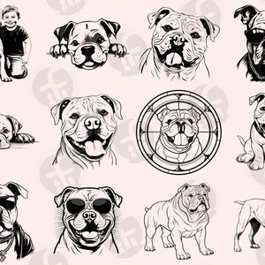 XL Bully SVG Bundle: 96 Muscular Dog Art Cut Files (digital Download ...