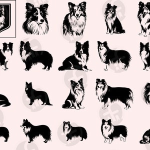 Shetland Sheepdog SVG Bundle - 167 Cut Files - Sheltie Silhouette ...