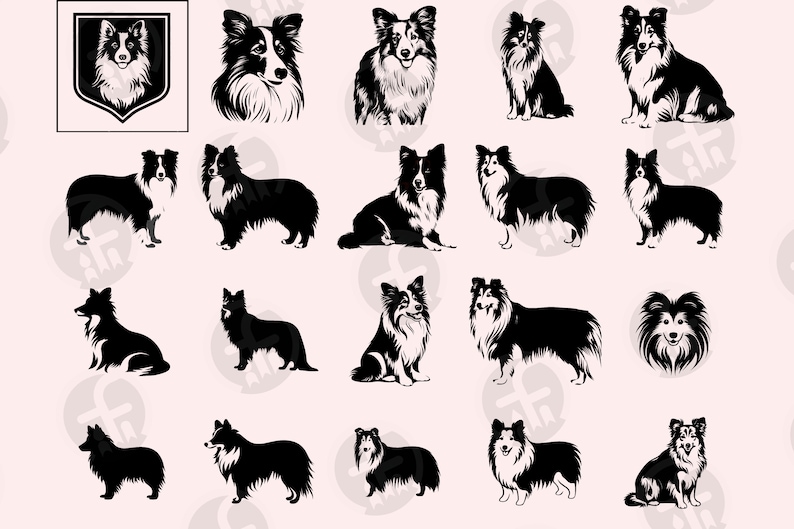 Sheltie SVG Bundle: 167 Shetland Sheepdog Silhouette Designs (digital ...