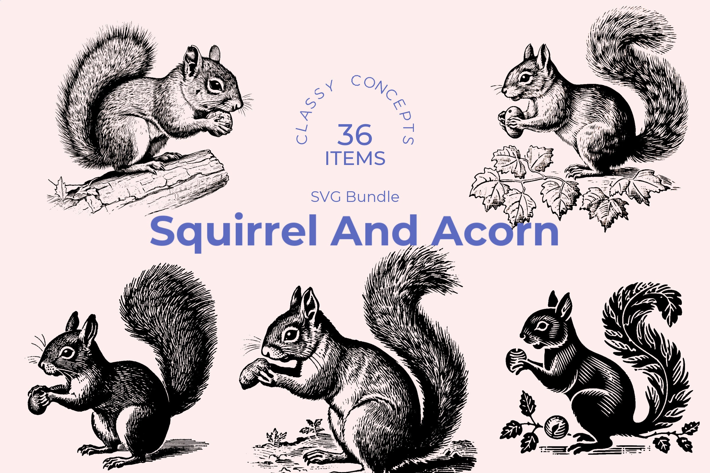 Squirrel and Acorn SVG Bundle 36 Vintage Engravings Cut - Etsy