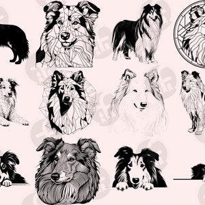 Rough Collie SVG Bundle 96 Cut Files Herding Dog Lassie Dog Perfect for ...