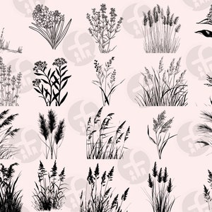 Beach Flora SVG Bundle - 180 Cut Files - Beach House Decor - Coastal ...
