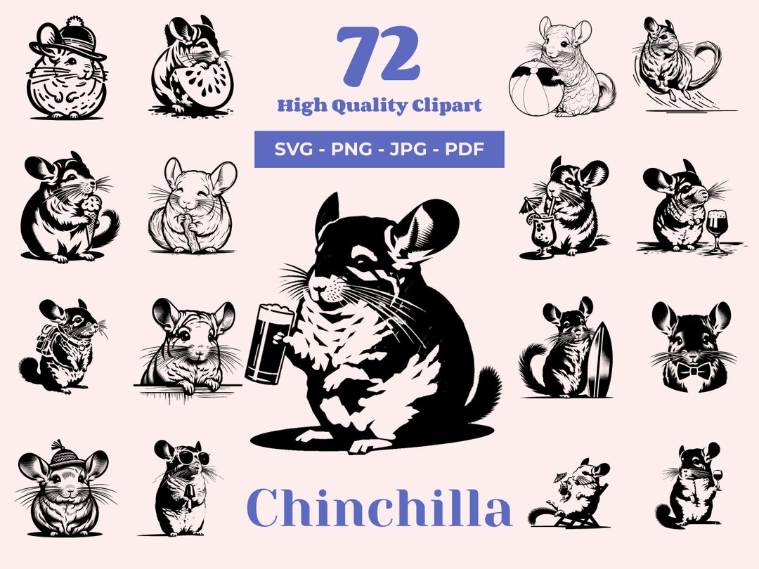 Chinchilla SVG Bundle - 72 Cut Files - Pet Designs for Laser Cutting ...