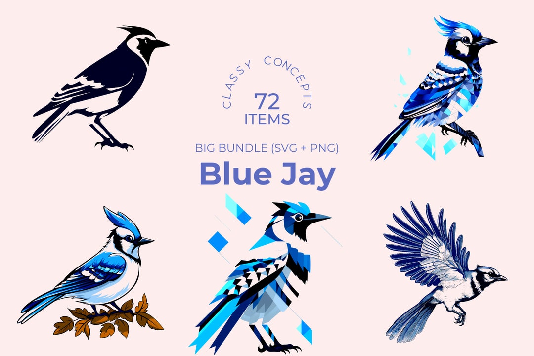 Black and White Blue Jay SVG Bundle 72 Distinct Bird Designs Ideal for ...