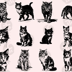 Stray Cat SVG Bundle: 96 Feral Cat Art Designs (digital Download) - Etsy