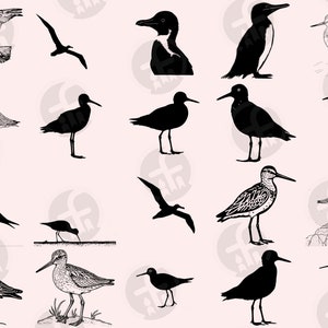 Ocean Birds SVG Bundle 180 Cut Files Coastal Bird Clipart Marine Avian ...