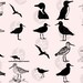 Ocean Birds SVG Bundle 180 Cut Files Coastal Bird Clipart Marine Avian ...