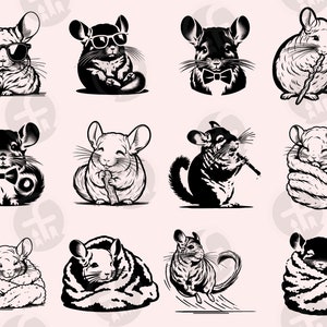 Chinchilla SVG Bundle - 72 Cut Files - Pet Designs for Laser Cutting ...