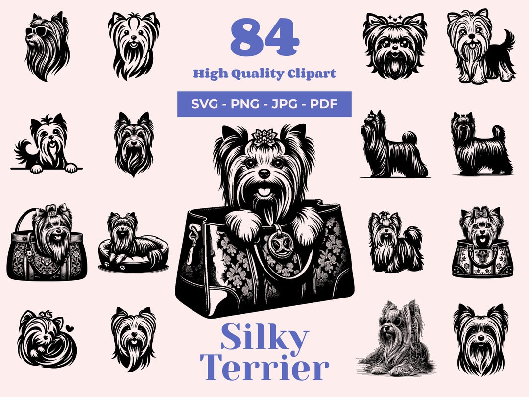Silky Terrier SVG Bundle - 84 Cut Files - Elegant Small Dog Art ...