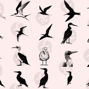 Ocean Birds SVG Bundle 180 Cut Files Coastal Bird Clipart Marine Avian ...