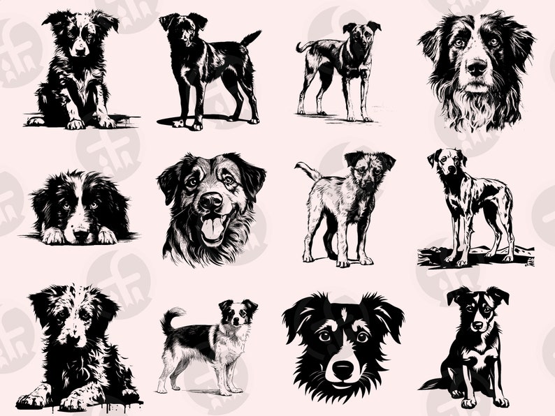 Stray Dog SVG Bundle: 96 Mutt Illustrations (digital Download) - Etsy