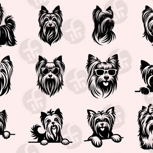 Silky Terrier SVG Bundle 84 Cut Files Elegant Small Dog Art Sublimation ...