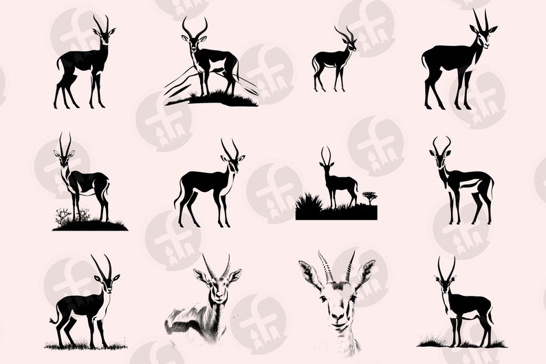 South African Springbok SVG Bundle 75 Cut Files Native - Etsy