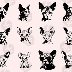 Sphynx Cat SVG Bundle - 96 Unique Cut Files - Hairless Beauty ...