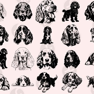 Cocker Spaniel SVG Bundle 128 Cut Files American Cocker Spaniel ...