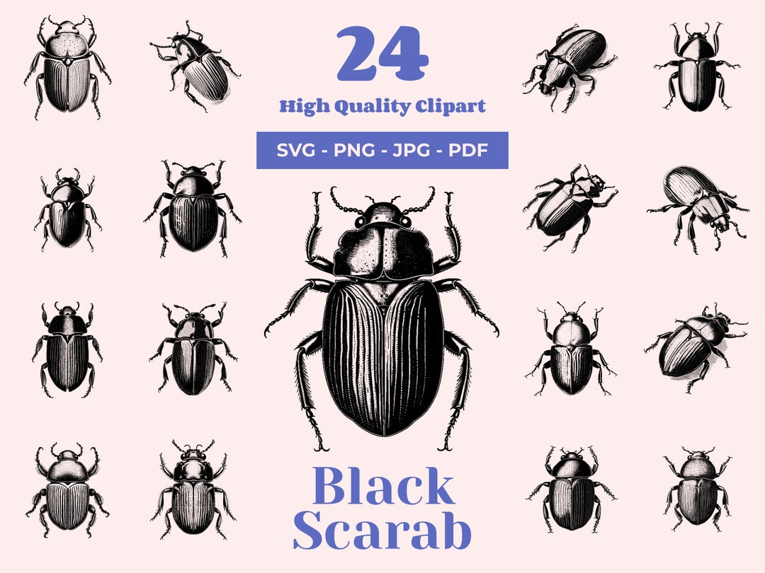 Black Scarab Beetle SVG Bundle - 24 Vintage Engravings - Scarab Clipart ...
