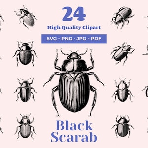 Black Scarab Beetle SVG Bundle - 24 Vintage Engravings - Scarab Clipart ...